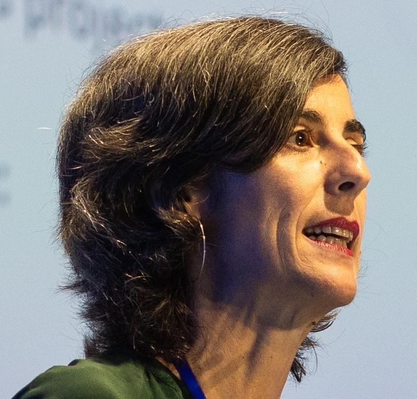 Piedras de papel - La Democracia en baja forma