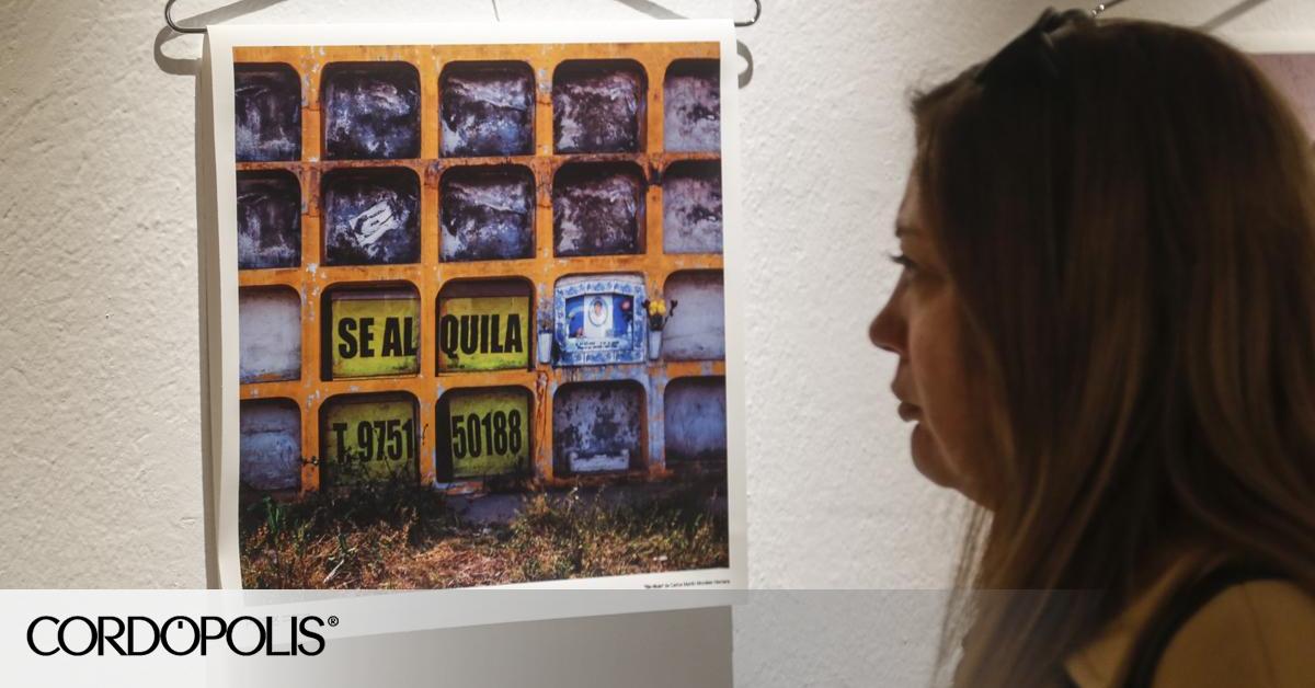 Córdoba se convierte en una auténtica galería urbana con la ...