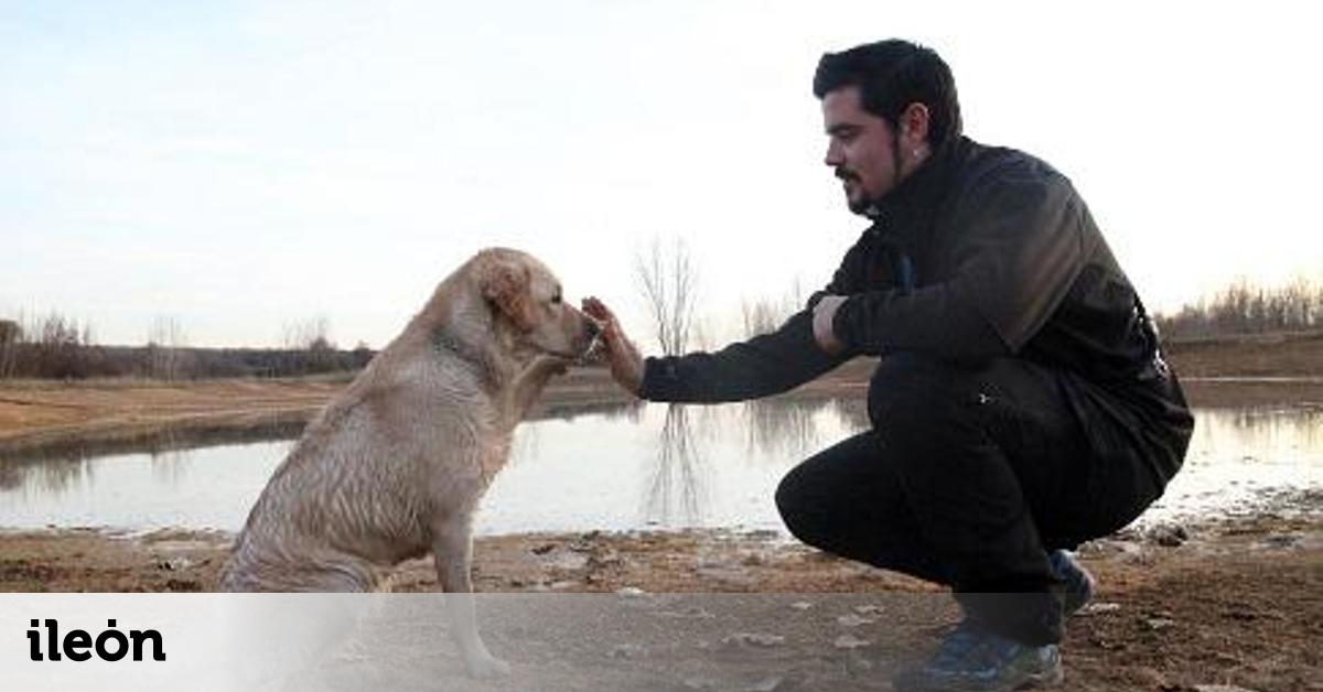 Por la integración canina en León, nace Hablando de Perros