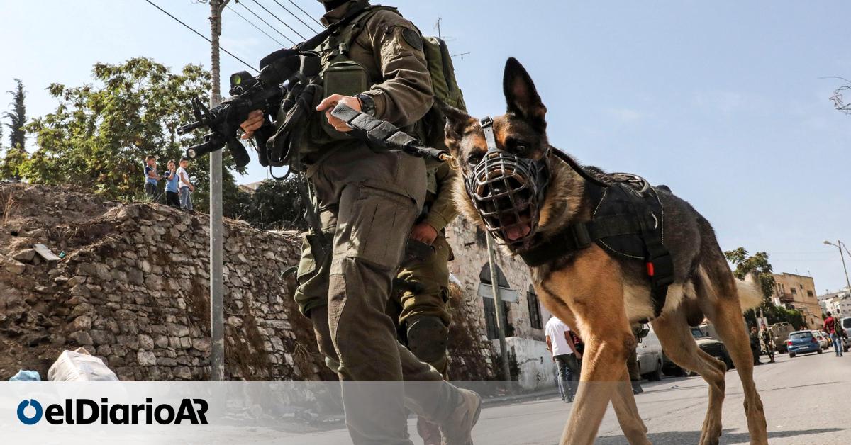 Europa envía a Israel los perros de ataque convertidos en armas ...