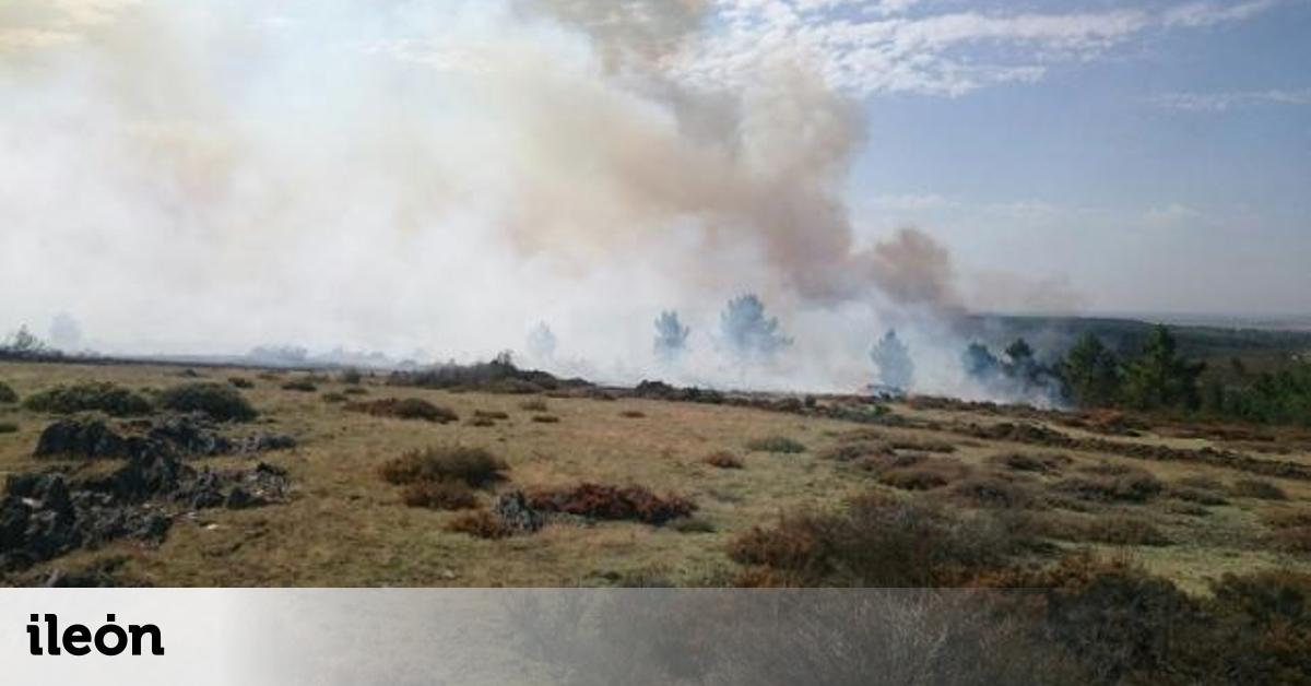 El incendio de Quintana del Castillo cumple una semana sin haber sido ...
