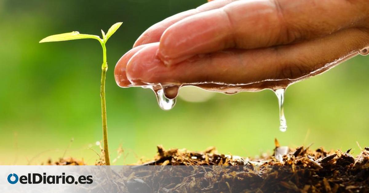 El cuidado del suelo, un “componente clave” para la conservación del agua