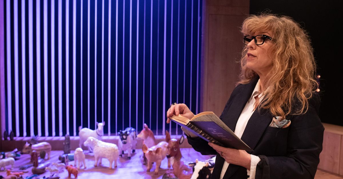 Elizabeth Costello se presenta en Madrid