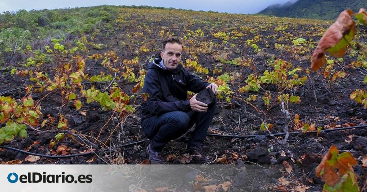El ‘Master of Wine’ David Forer destaca la identidad única de los vinos ...