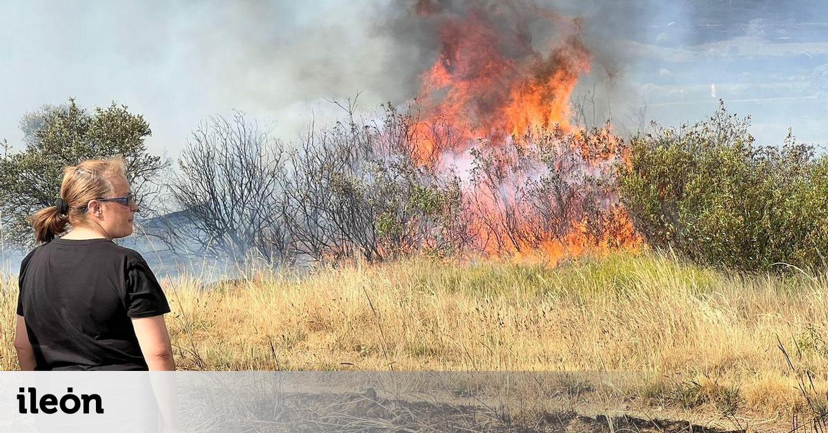 El incendio de la Sierra de la Culebra arrasa ya 25.000 hectáreas, el ...