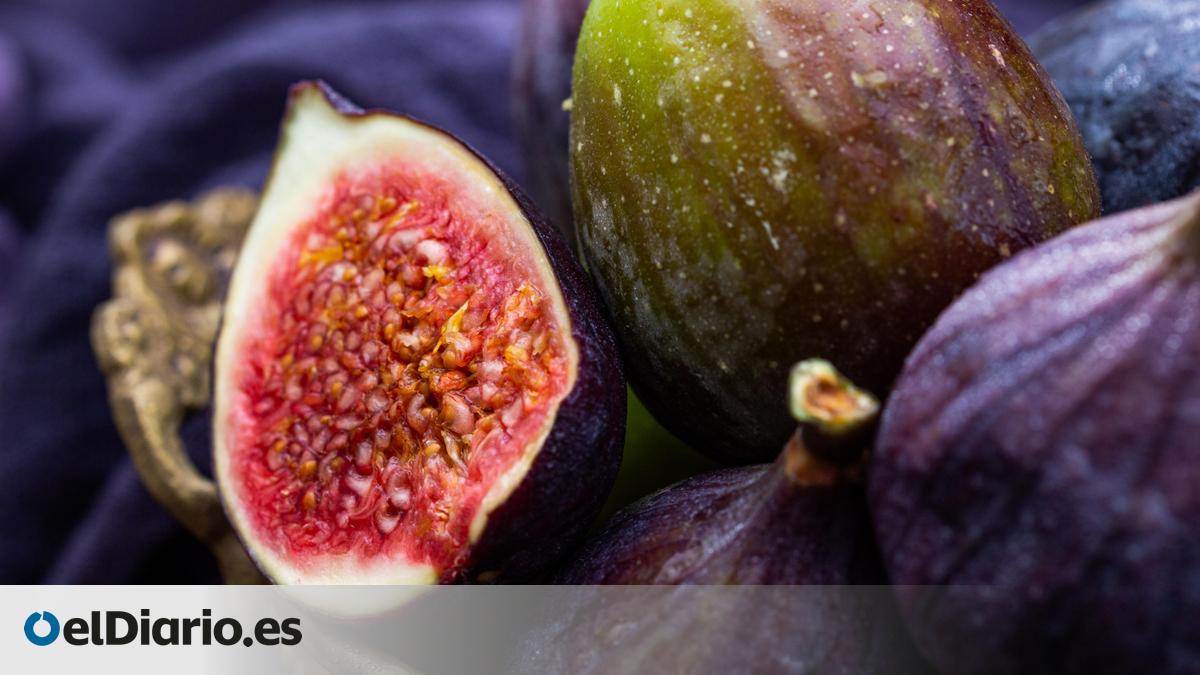 Cómo aprovechar la temporada de higos: las propiedades y secretos de ...