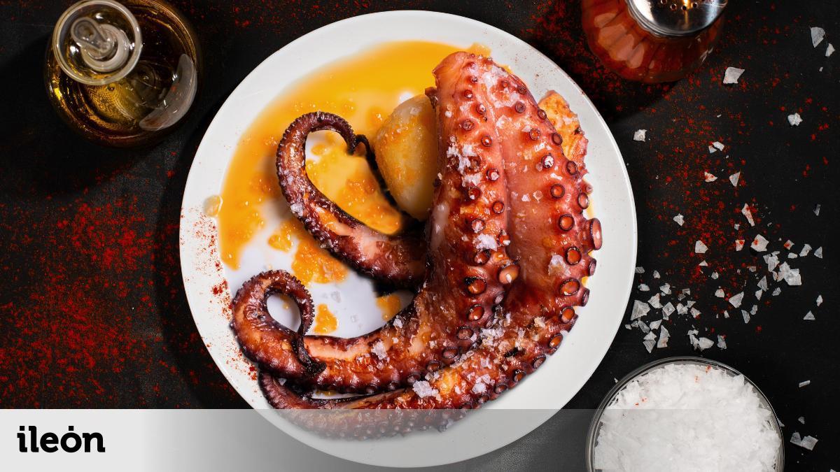 El pulpo, un manjar que triunfa en León y que no sería lo mismo sin la ...