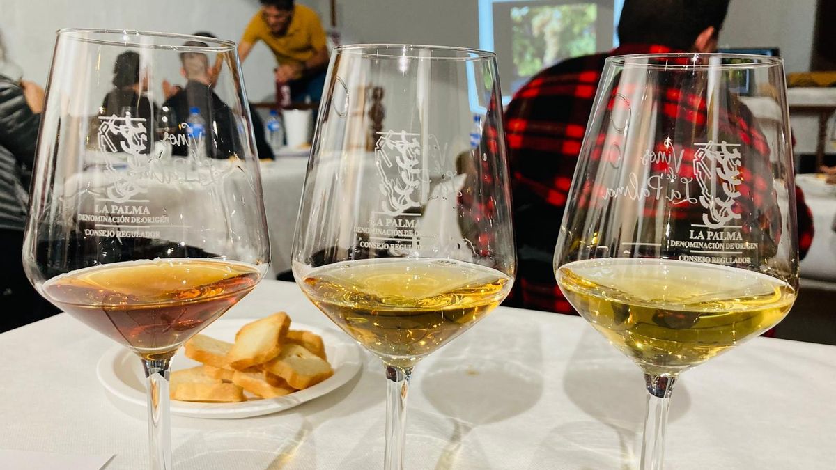 Un curso intensivo de cata de vinos, una “experiencia única” para regalar en Navidad