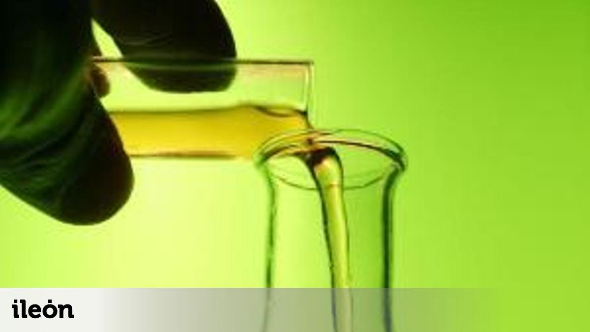 Cómo crear vida multicelular en 60 días
