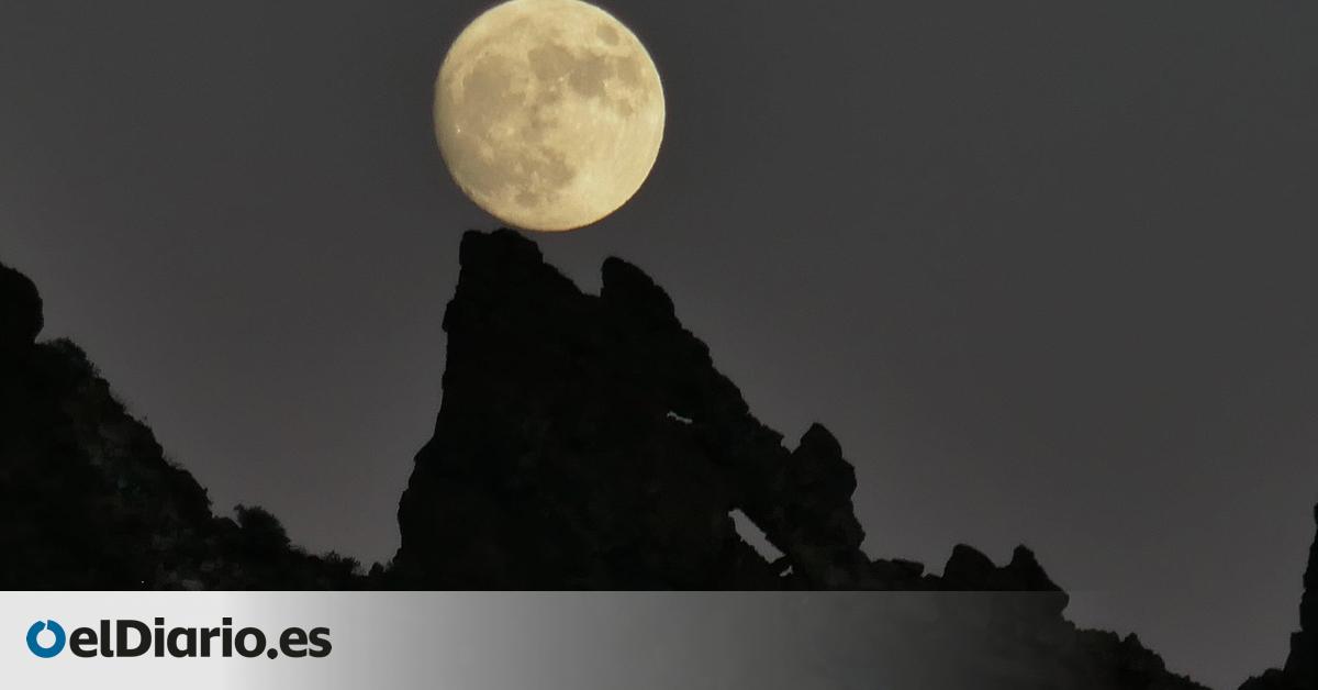 Espectacular imagen de un 'lobo' aullando a la Luna en el sur de Gran ...
