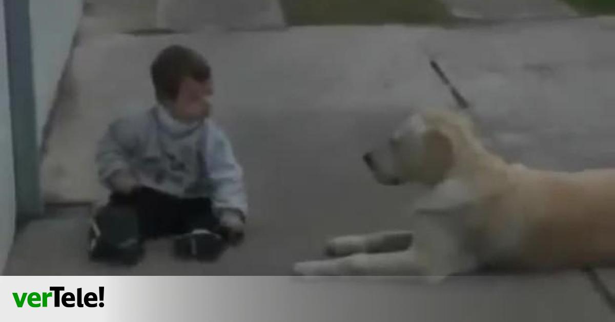 El vídeo del niño con síndrome de Down y el perro que conmueve a la red