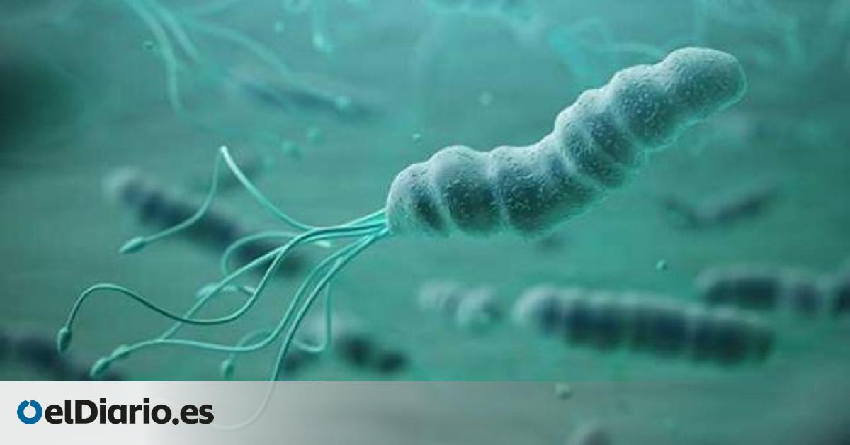 ¿Qué es Helicobacter pylori y qué riesgo supone tenerla para nuestra salud?
