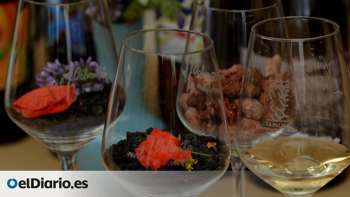 Casi 70 referencias de Vinos con DOP La Palma podrán degustarse en ...