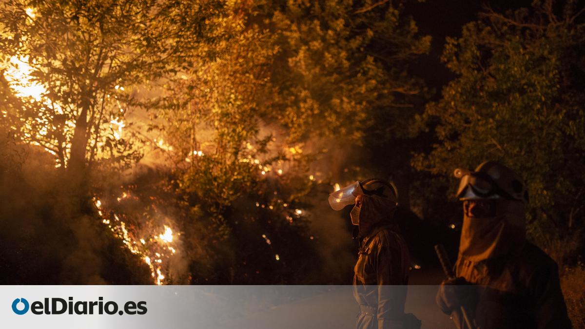 Galicia Tras Seis D as De Incendios 24 000 Hect reas Calcinadas Galicia Tras Seis D as De Incendios 24 000 Hect reas Calcinadas