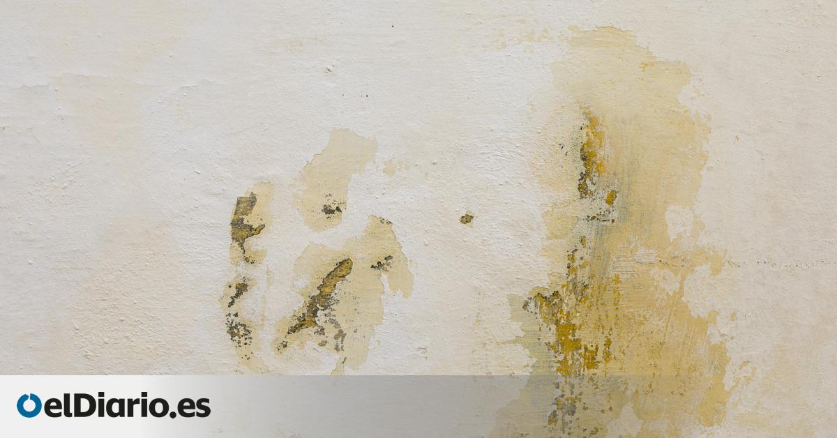 Qué es la humedad por capilaridad y cómo solucionarla