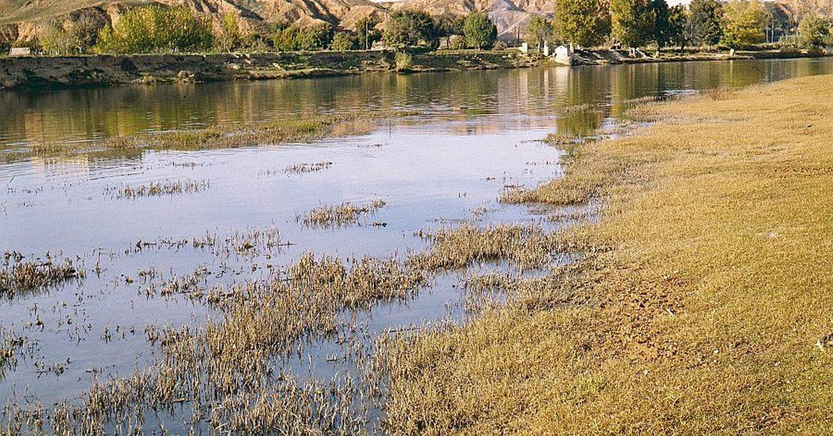 Alumnado universitario realizará un estudio sobre la biodiversidad de ...