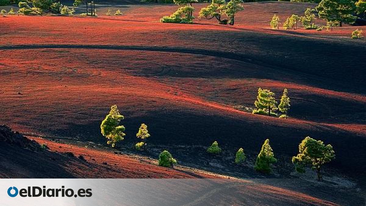 La Unesco hará a la Isla una auditoría ambiental
