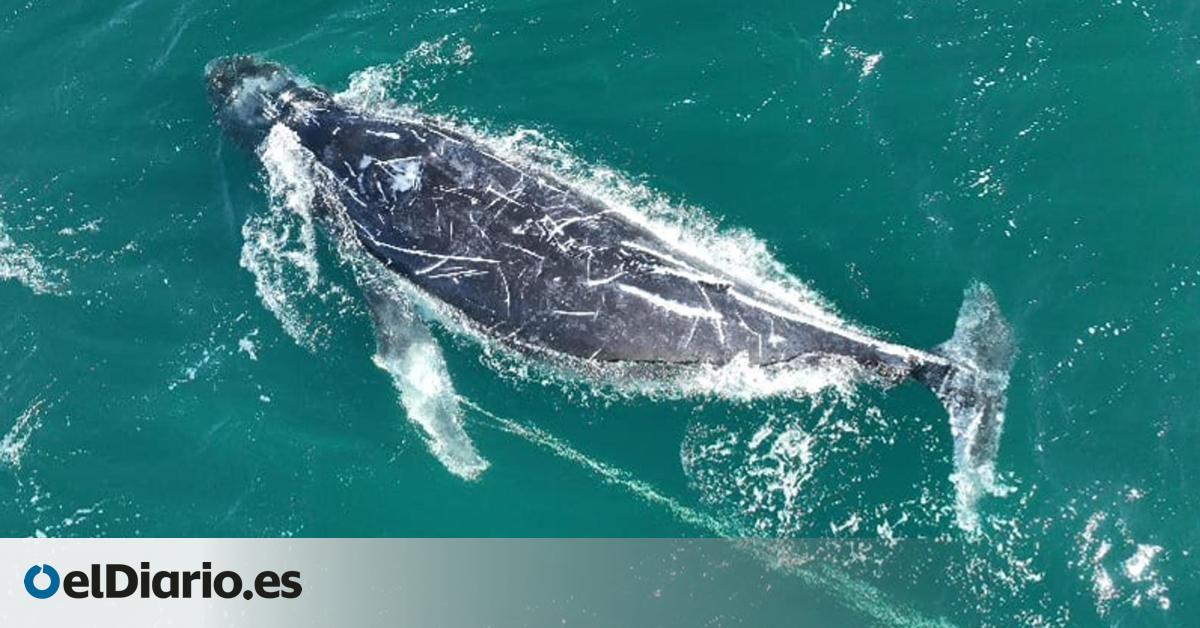 Saramellons onlyfans undoubtedly she is lovely and alluring