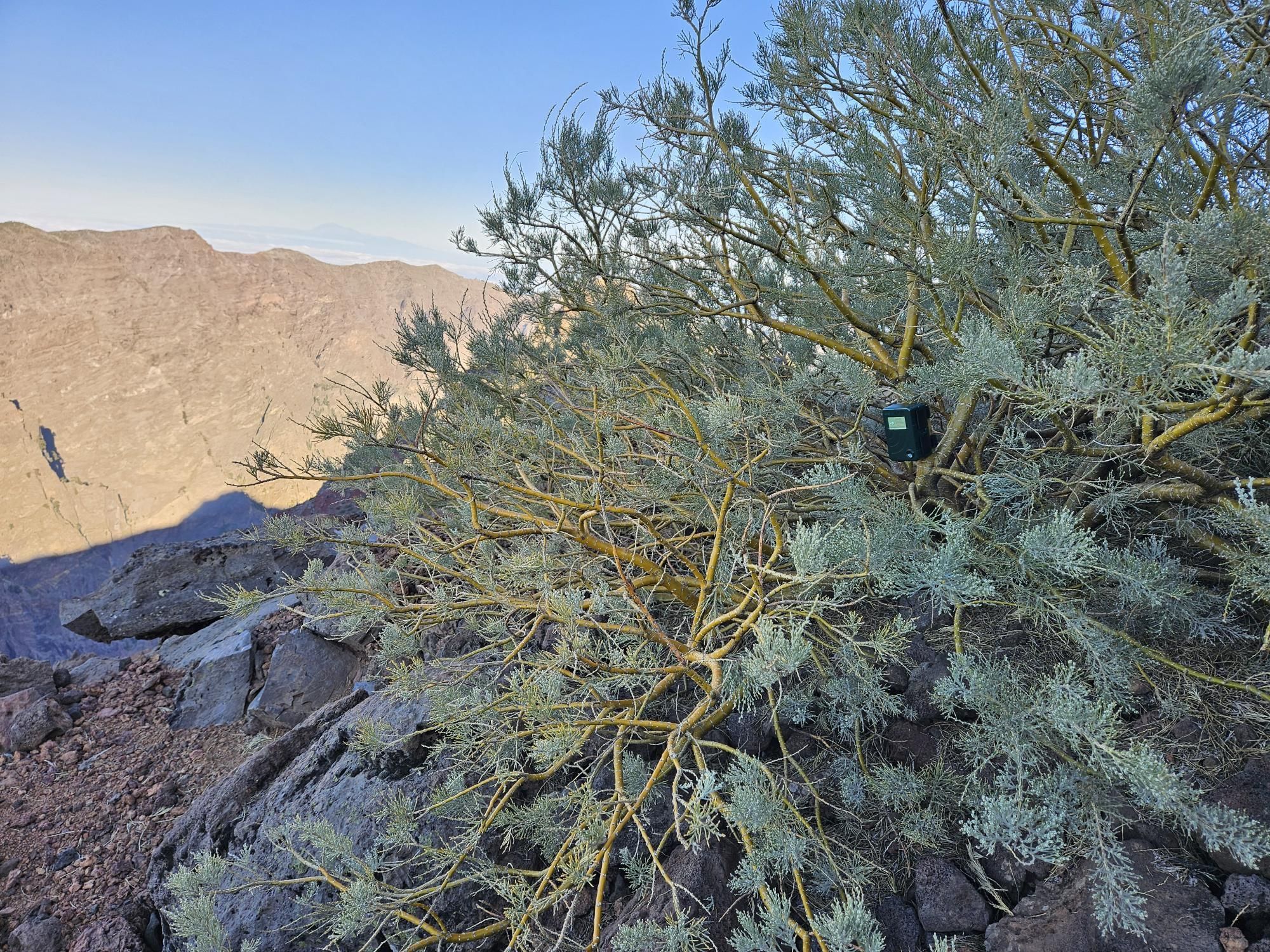 Doce sensores de audio captarán los paisajes sonoros de La Caldera