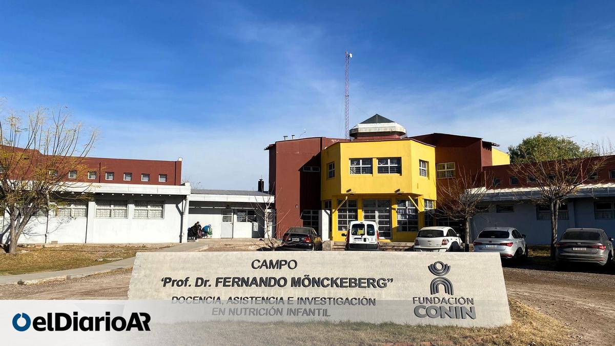 Cómo funciona la base de operaciones de Conin, la organización en la ...