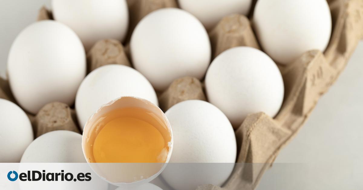 Cómo saber si un huevo está en mal estado