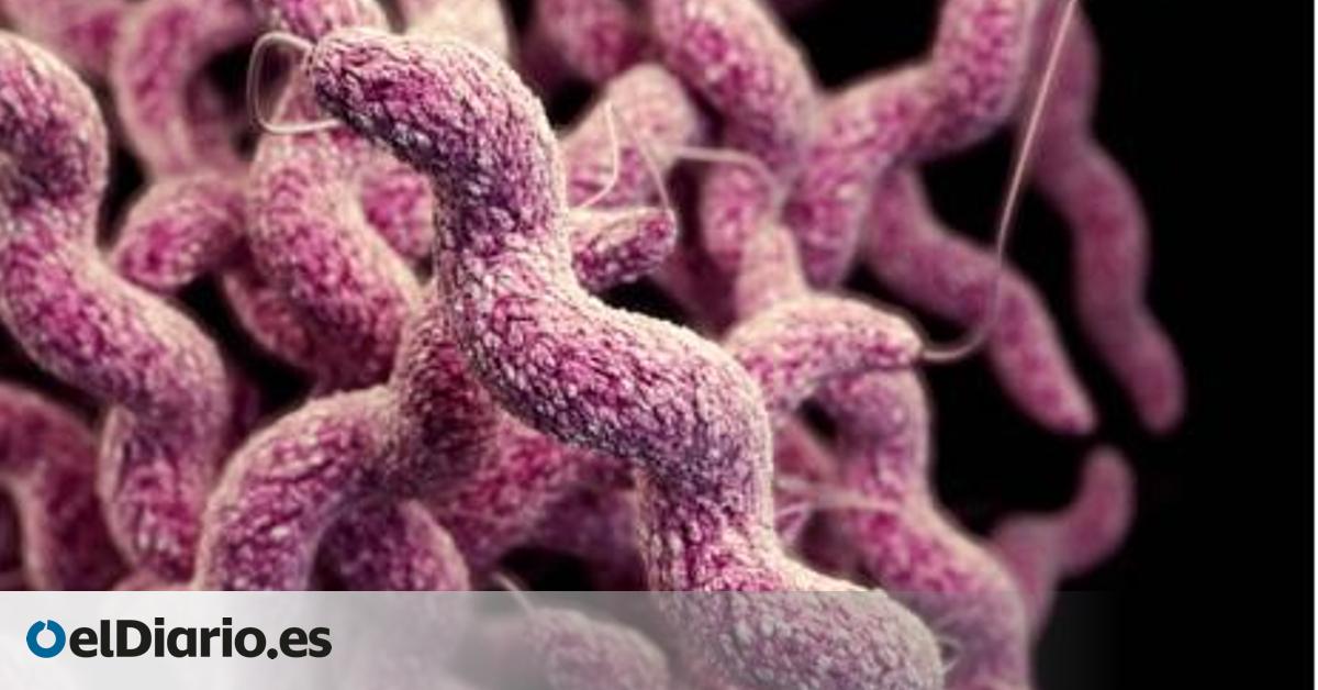 El avance de las superbacterias hace cada vez más inútiles tratamientos ...