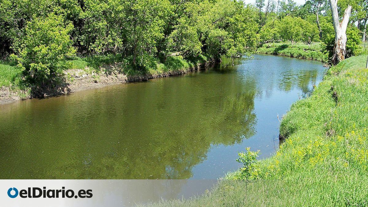 Cómo recuperar un río muerto