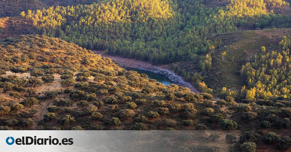 Perros sueltos y zonas degradadas: el plan de uso de Monfragüe sale con ...