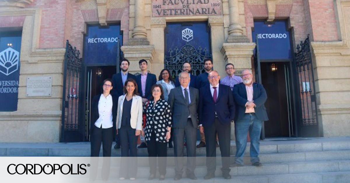 La UCO y la empresa Ibatech trabajarán en tecnología para ...