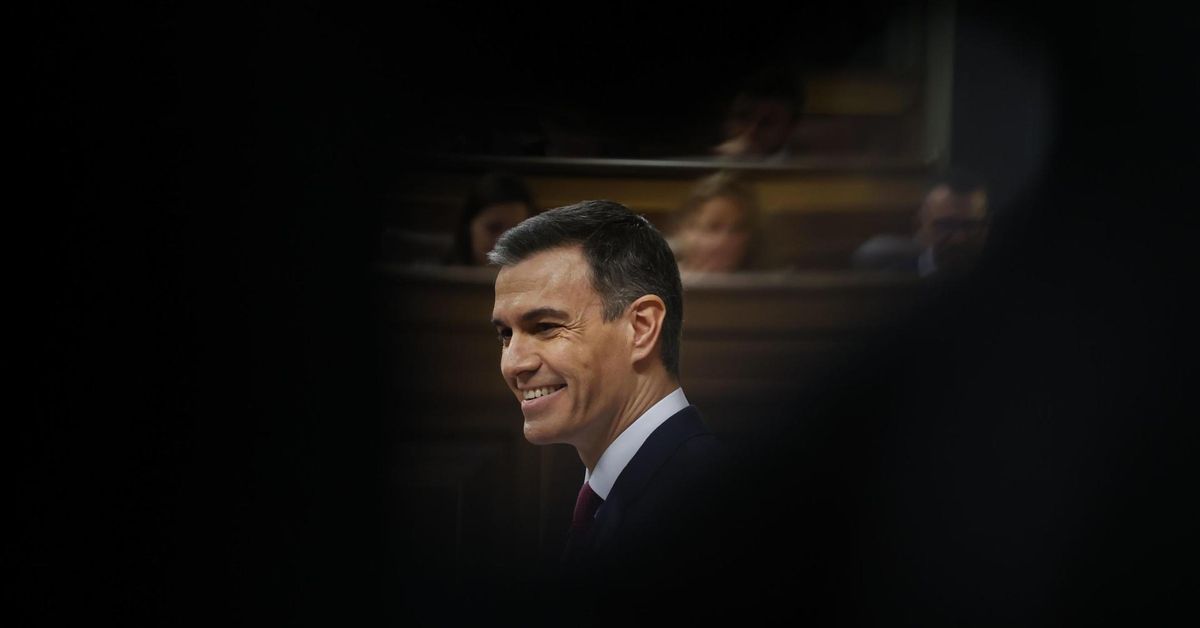 "Sánchez the dog is smarter because he’s a dog" o el reto de explicar ...