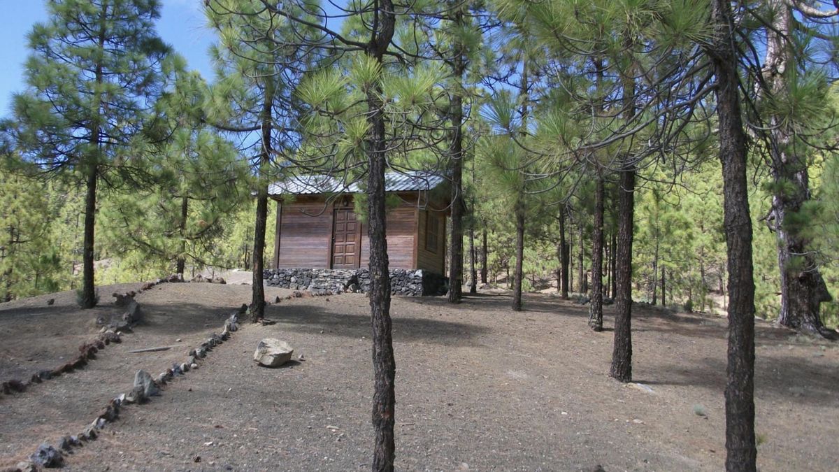 Declarado un incendio en un campamento forestal en el sur de Tenerife