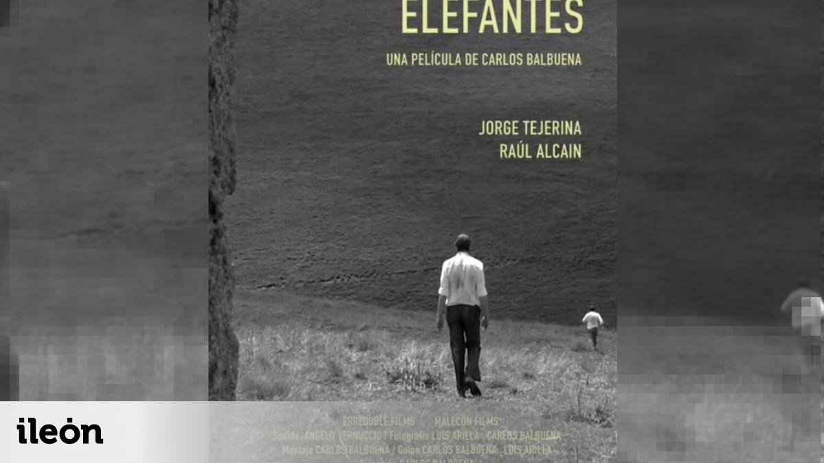 El Teatro El Albéitar proyecta la película 'Elefantes' del leonés ...