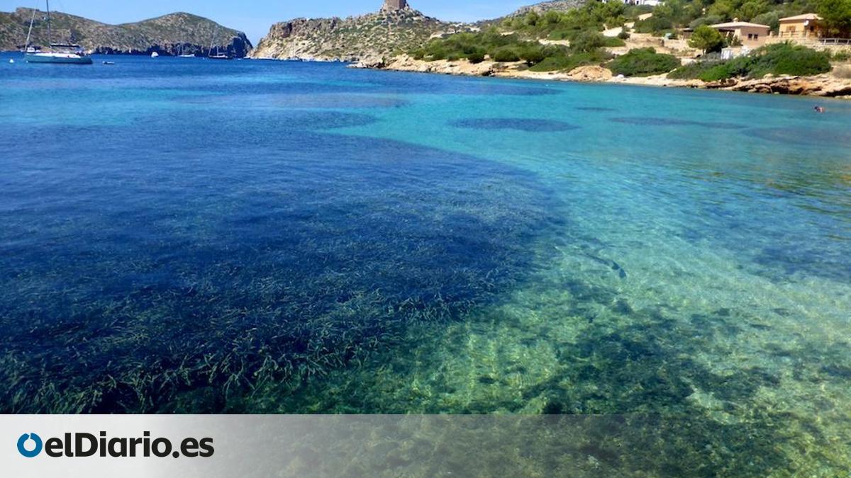 La isla menos conocida de las Baleares: Cabrera, un paraíso de flora y ...