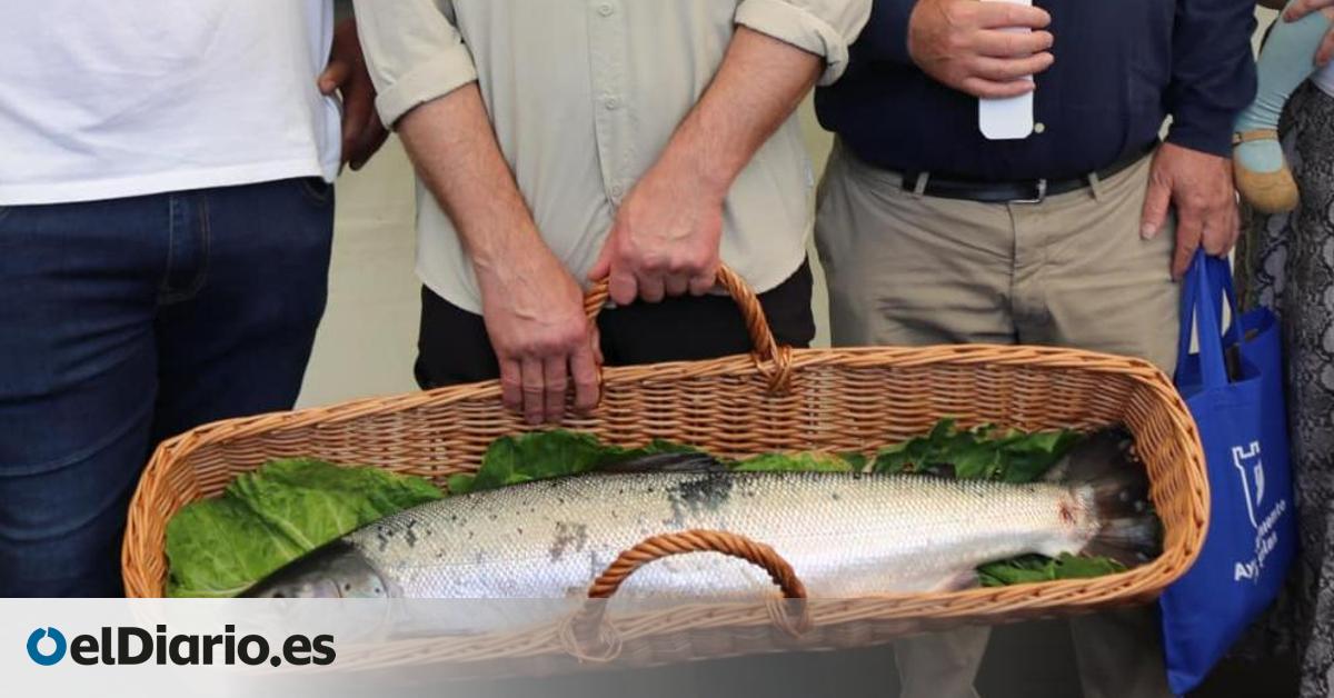 A 2.353 euros el kilo de salmón: un restaurante de Madrid bate récords ...