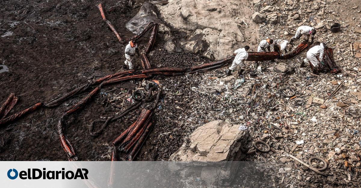 Ecocidio: ¿qué es y por qué podría considerarse un delito internacional ...