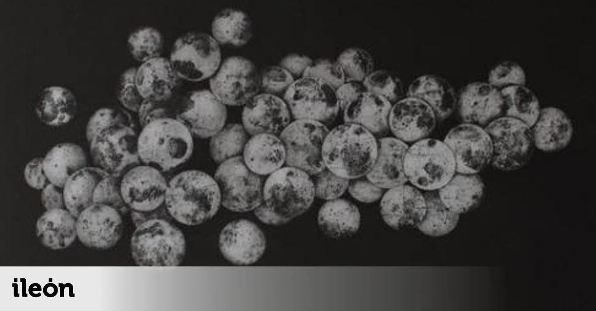 El leonés Germán Aparicio premiado en el Premio Internacional de Grabado y Vino ‘Fundación Vivanco’