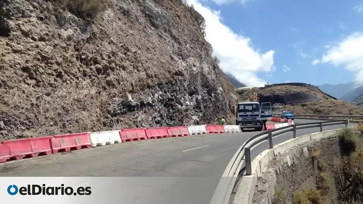 El Gobierno de Canarias autoriza la transferencia de 90.000 euros para ...