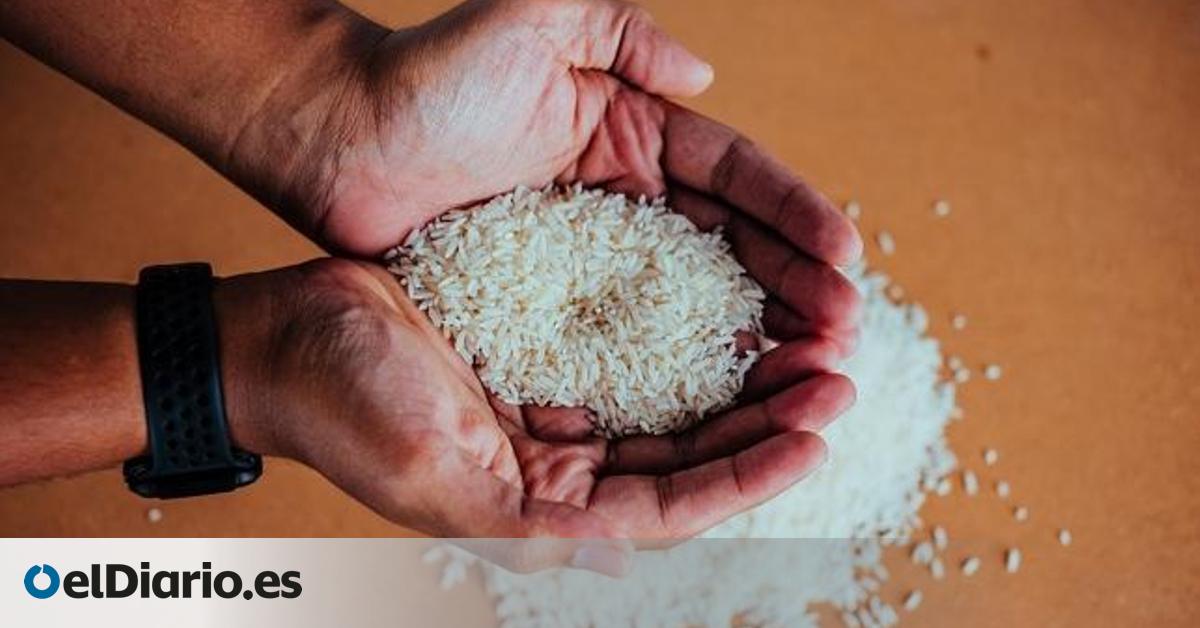 Cuatro tipos de arroces para hacer las mejores recetas este verano
