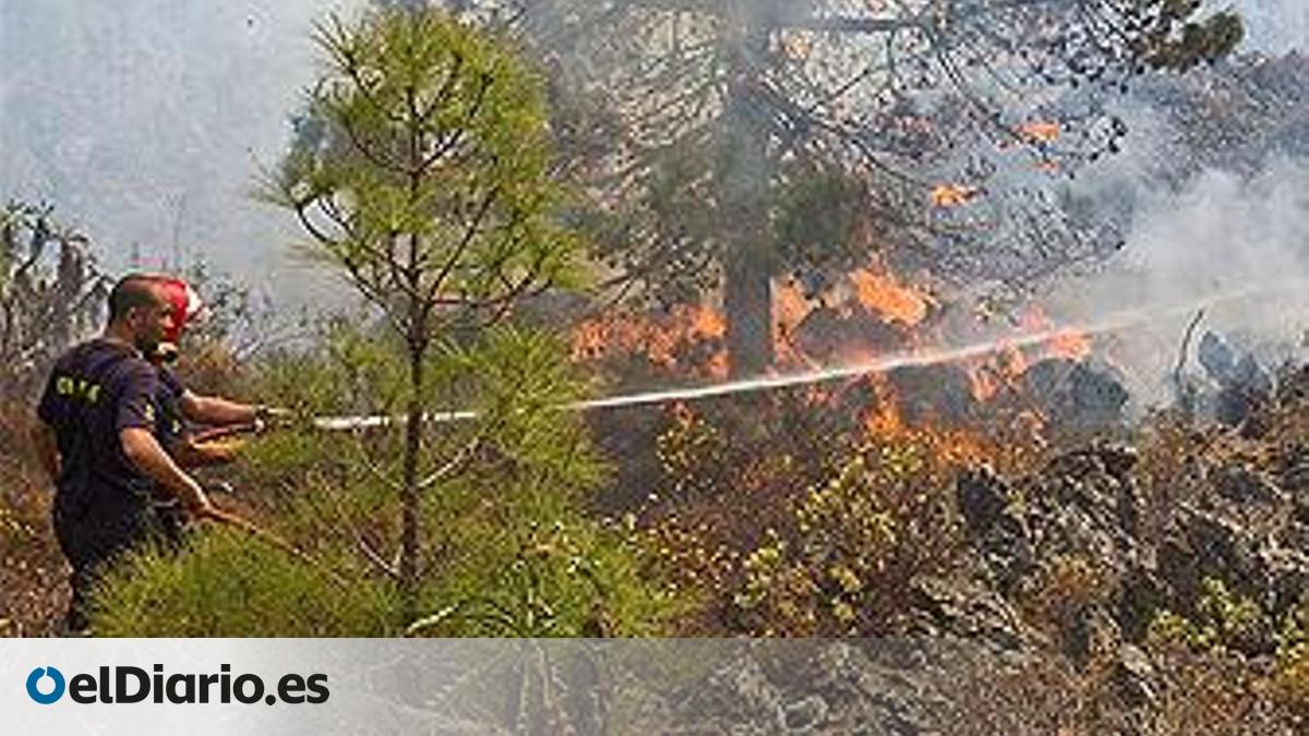 Un incendio en La Palma arrasa cinco hectáreas de pastizal