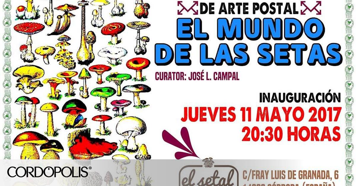 'El Setal' acoge una muestra de 'mail art' sobre setas