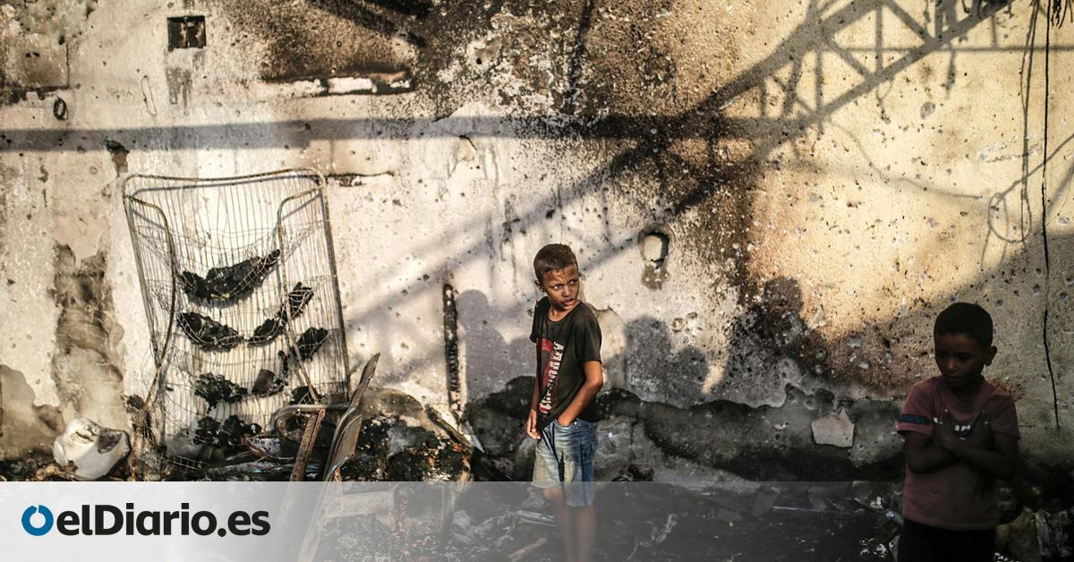 Judith Butler, Sally Rooney y otro centenar de escritores firman una ...