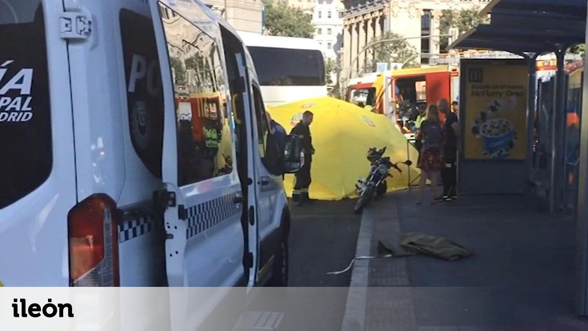 Muere atropellada por un autobús en Madrid Elena Zapico, promesa ...
