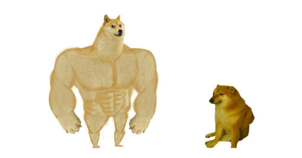 Internet está de luto: muere 'Cheems', el perro de los memes virales