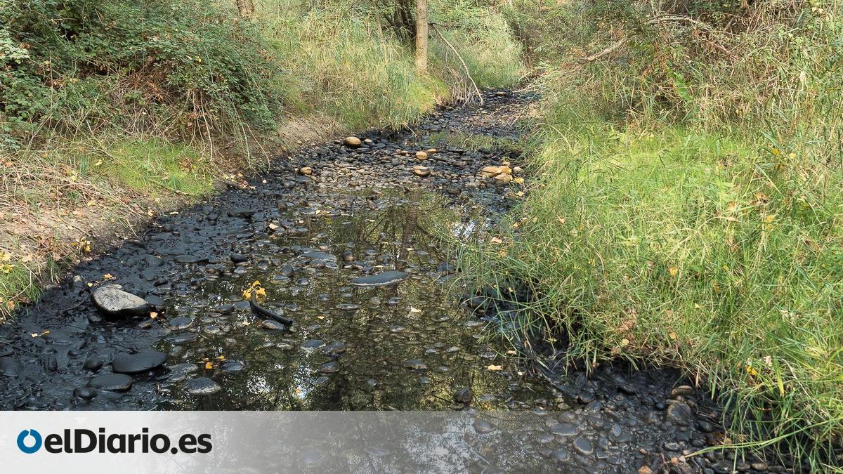 Fango negro en el río Cinca: Ecologistas en Acción denuncia un vertido ...