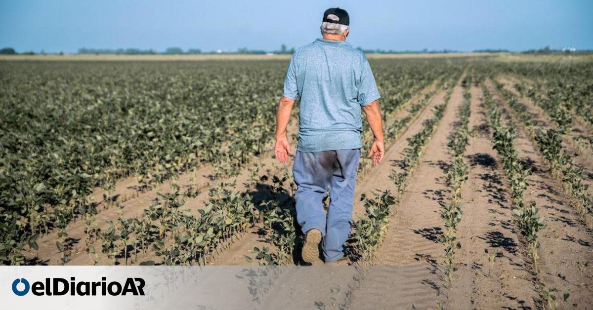 La Niña termina, pero la sequía expone problemas más profundos para la economía de la región ...