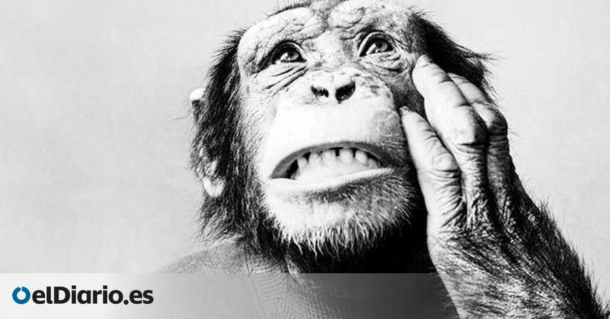 Nace 'Man on the moon', una nueva revista mensual "para el hombre del ...