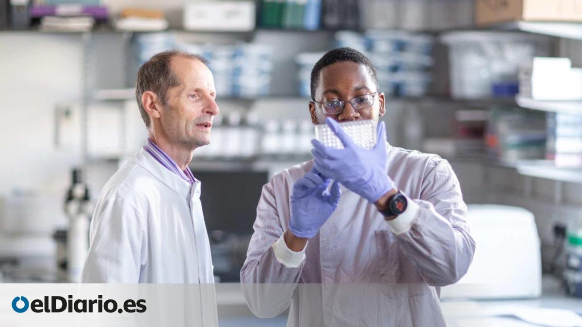 Robin Shattock, investigador del Imperial College: "Si las vacunas ...