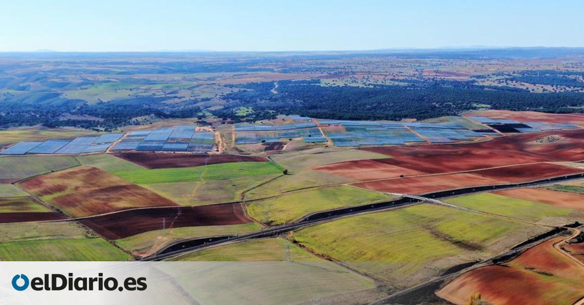 Solaria llega a los 2.000 megavatios en operación y construcción: es ...