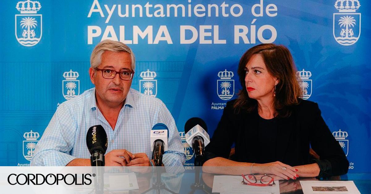 El Ayuntamiento de Palma toma medidas de vigilancia y control tras un ...