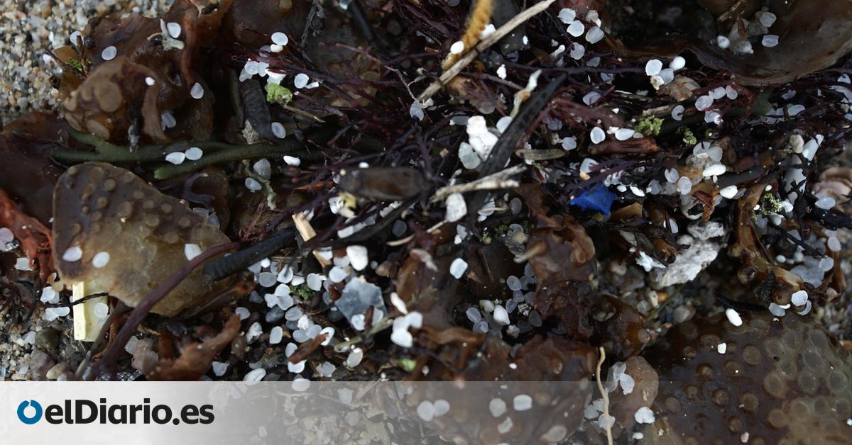 La Fiscalía de Medio Ambiente reclama información sobre el vertido de ...